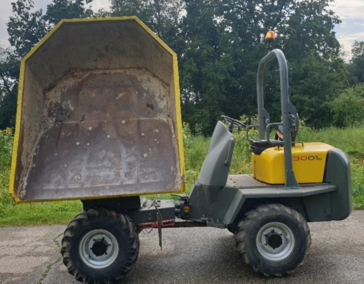 Dumper Wacker Neuson 3001 | subastaszentromachine.com